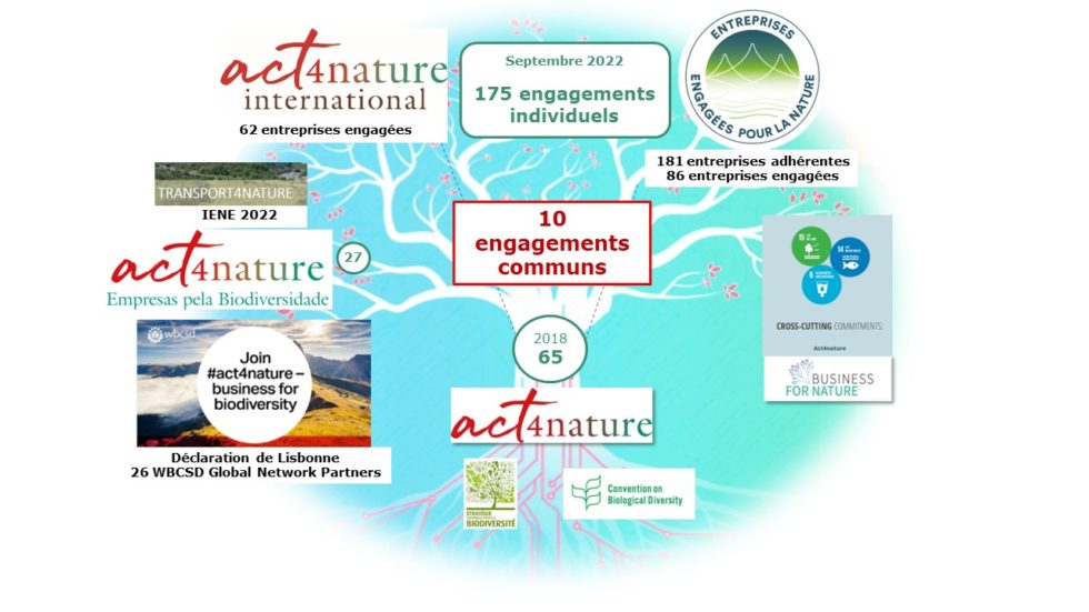 act4nature dans le monde - :: Act4nature